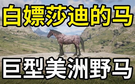 【荒野大镖客2】锦上添花！教你白嫖女武神莎迪的马 视频下载 Video Downloader