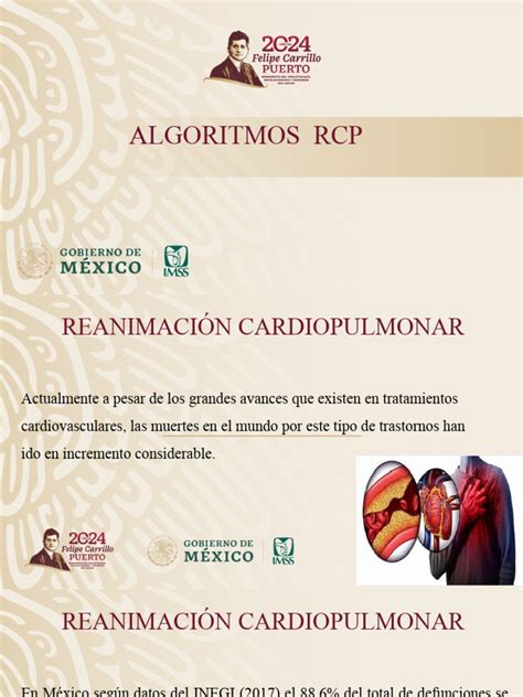 Guia Rcp Pdf