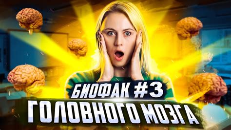 Биофак головного мозга | Отвечаю на вопросы подписчиков #3 - YouTube