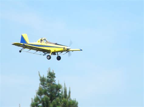 Clueless In The Country