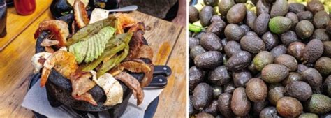 장준우의 푸드 오디세이 멕시코인의 녹색 심장 아보카도의 두 얼굴