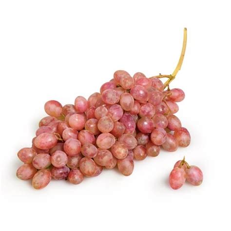 SanLucar Trauben Rot Kernlos Online Bestellen BILLA Billa Fruit