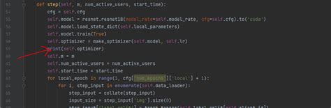 bug for client optimizer · issue 8 · aiot mlsys lab fedrolex · github