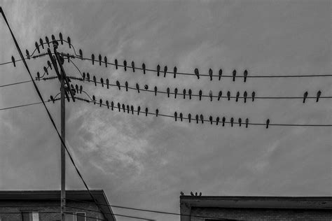 Analog Communication System Indiefotog