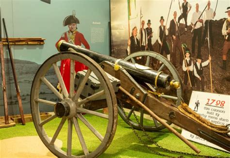 The 1798 Irish Rebellion A Comprehensive History