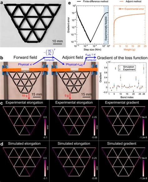 Training All Mechanical Neural Networks For Task Learning Through In