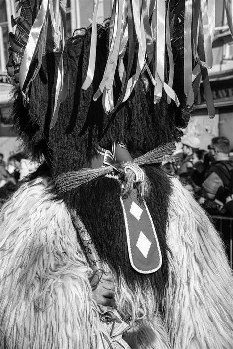 Kurent In Black And White Wild N Free Diary