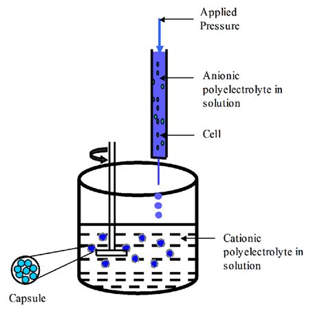 Schematic Representation Of Microcapsule Preparation By Interfacial