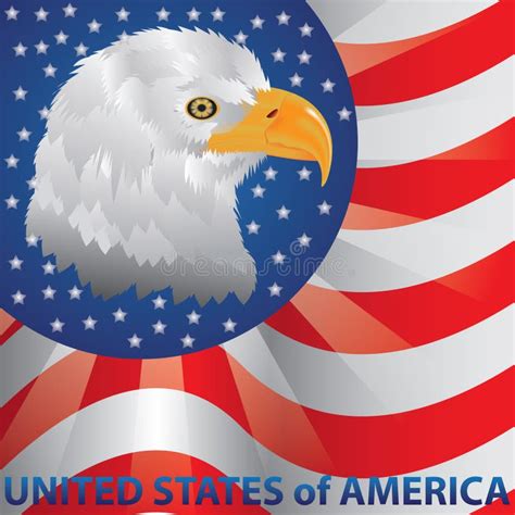 Bald Eagle On American Flag Background Vector Illustration Decorative