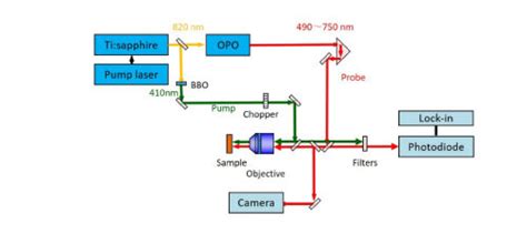 Schematics Of The Differential Reflection Setup Download Scientific