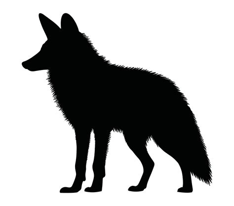 Aardwolf Vector Illustration On White Background 36274382 Vector Art
