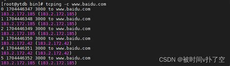 Linux系统操作tcping安装与使用