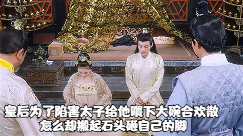 皇后为了陷害太子给他喂下大碗合欢散怎料却搬起石头砸自己的脚 高清1080P在线观看平台 腾讯视频
