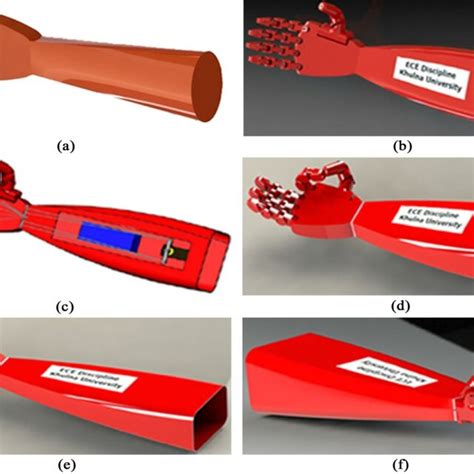 Basic Model Of The Proposed Emg Sensor Actuated Prosthetic Arm A Download Scientific Diagram