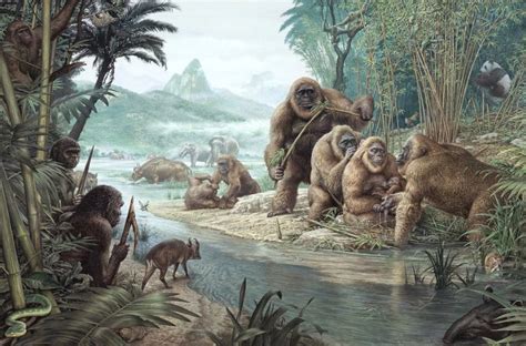 Gigantopithecus Fossil Wiki Fandom