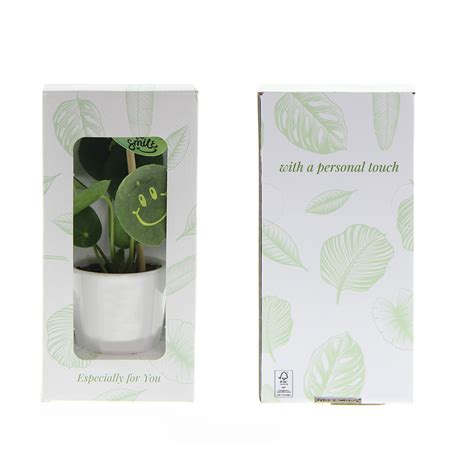 Smylie Plant Yipp And Co