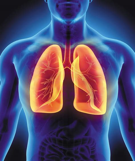 How To Open Up Your Chest To Breathe Better At James Taplin Blog