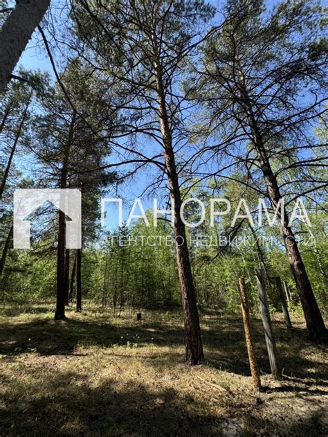 Категория земель Земли населенных пунктов разреш