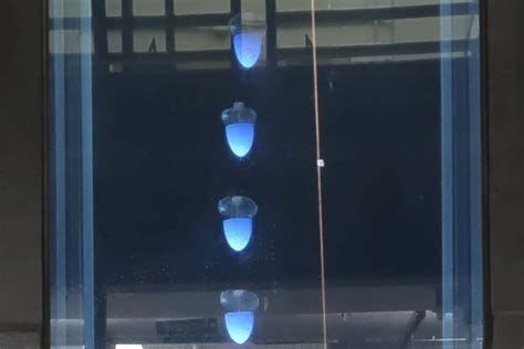 Watch A Swarm Of Cyborg Cockroaches Controlled By Computers New Scientist