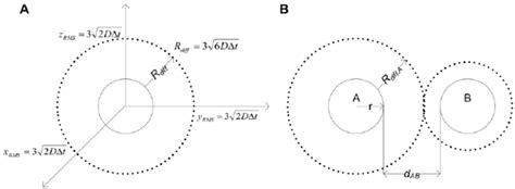 Three Dimensional Stochastic Off Lattice Model A The Radius Of The Download Scientific