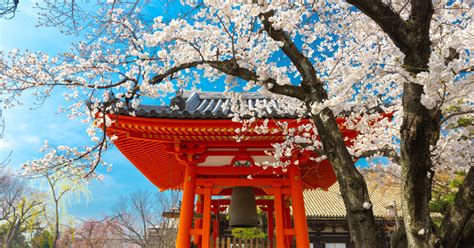 Japan Jom Japanese Yen Falls To Weakest In 38 Years Weirdkaya