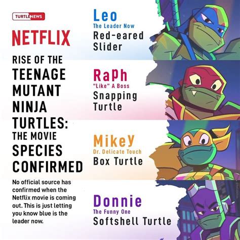 Pin By Jakovo Mtz On TMNT Movies Teenage Mutant Ninja Turtles Artwork