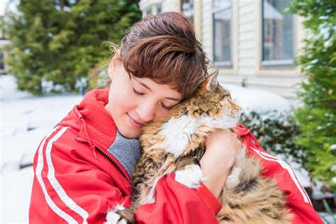 젊은 여 자가 눈에 밖에 서 빨간 자 켓에 메인 Coon 고양이 들고 갈기에 대한 스톡 사진 및 기타 이미지 갈기 겨울