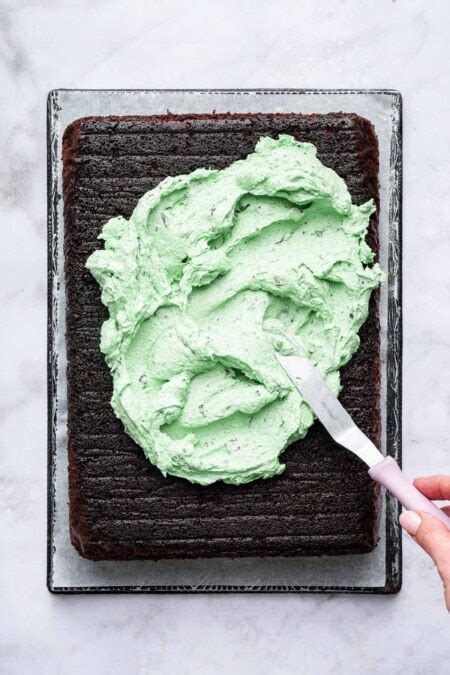 Mint Chocolate Chip Sheet Cake Bunsen Burner Bakery
