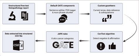 Figure 1 From Development And Validation Of An Automated Basal Cell Carcinoma Histopathology