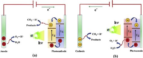 Schematic Diagrams For Photoelectrode A Photocathode B Photoanode Download Scientific