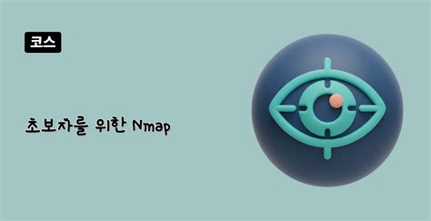초보자를 위한 Nmap 네트워크 스캐닝 및 보안 Labex