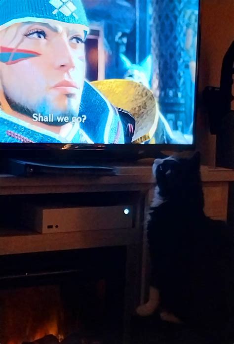 Looks Like Im Taking My Irl Palico Monster Hunting With Me R