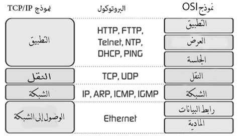 ماهو Tcp Ip في الشبكات علوم الحاسوب أكاديمية حسوب