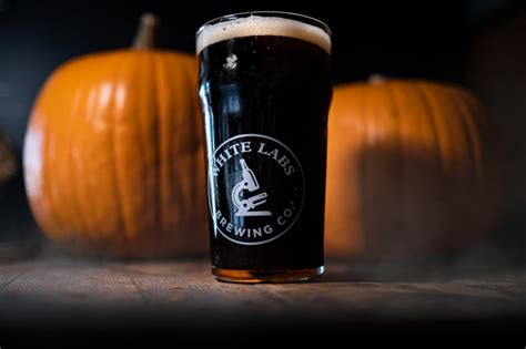 Cell Counting Your Yeast Culture