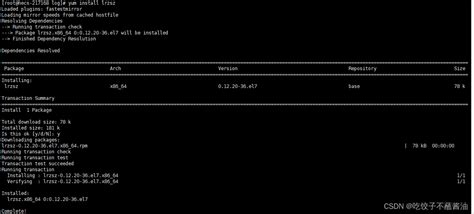 Linux下安装rzsz命令rz Sz安装 Csdn博客