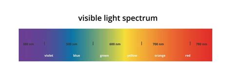Page 3 Visible Light Spectrum Vector Art Icons And Graphics For Free Download Page 3 Visible Light Spectrum Vector Art Icons And Graphics For Free Download