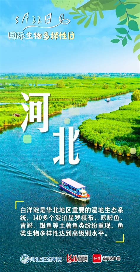今天，一起领略生物多样性之美！澎湃号·政务澎湃新闻 The Paper