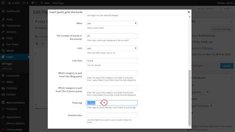 WordPress How To Display Posts By Tag Template Monster Help