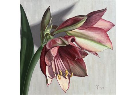 Авторська картина АМАРІЛІС картина художниці Світлани Бруяцької купити в Україні картини всіх