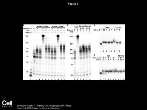 Volume Issue Pages January Ppt Download