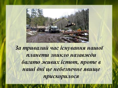 Тварини та рослини Червоної книги України презентация онлайн