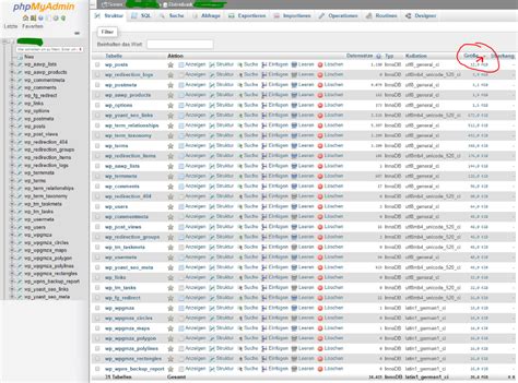 Wordpress Database Very Large Table WP OPTIONS Huge Pixelfriedhof