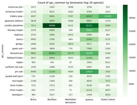 GitHub PlantGirlCodes Trees Analyst Of Trees In NYC