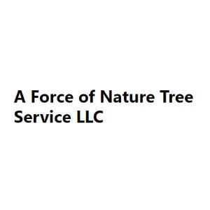 The Best Tree Services In Cape Coral Florida Of Trees Com