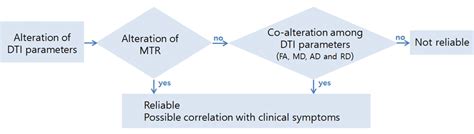 Schematic Interpretation Process Of Mr Parameters Download Scientific Diagram