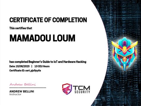 Tcmsecurity Tryhackme Iotsecurity Cybersecurity Ethicalhacking Mamadou Loum