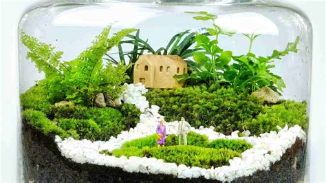35 Best Terrarium Plants For A Lovely Indoor Garden Of Any Size