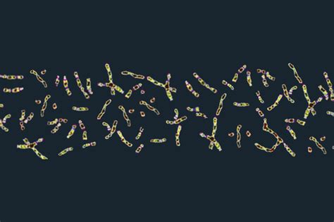 Amazon Web Services Now Hosting Massive Genetic Database The 1000
