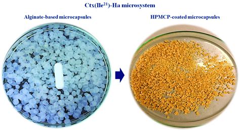 Microcapsules Obtained After Ionic Gelation And Fluidized Bed