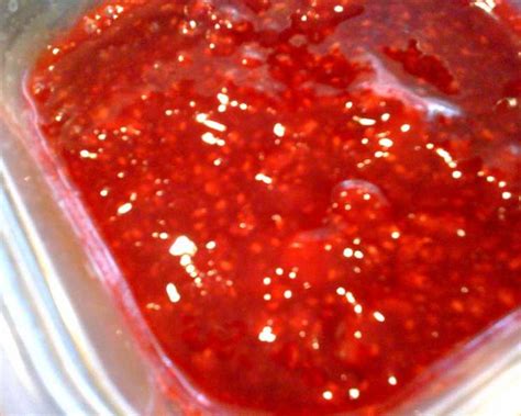 Red Raspberry Sauce Recipe Chefs Resource Recipes
